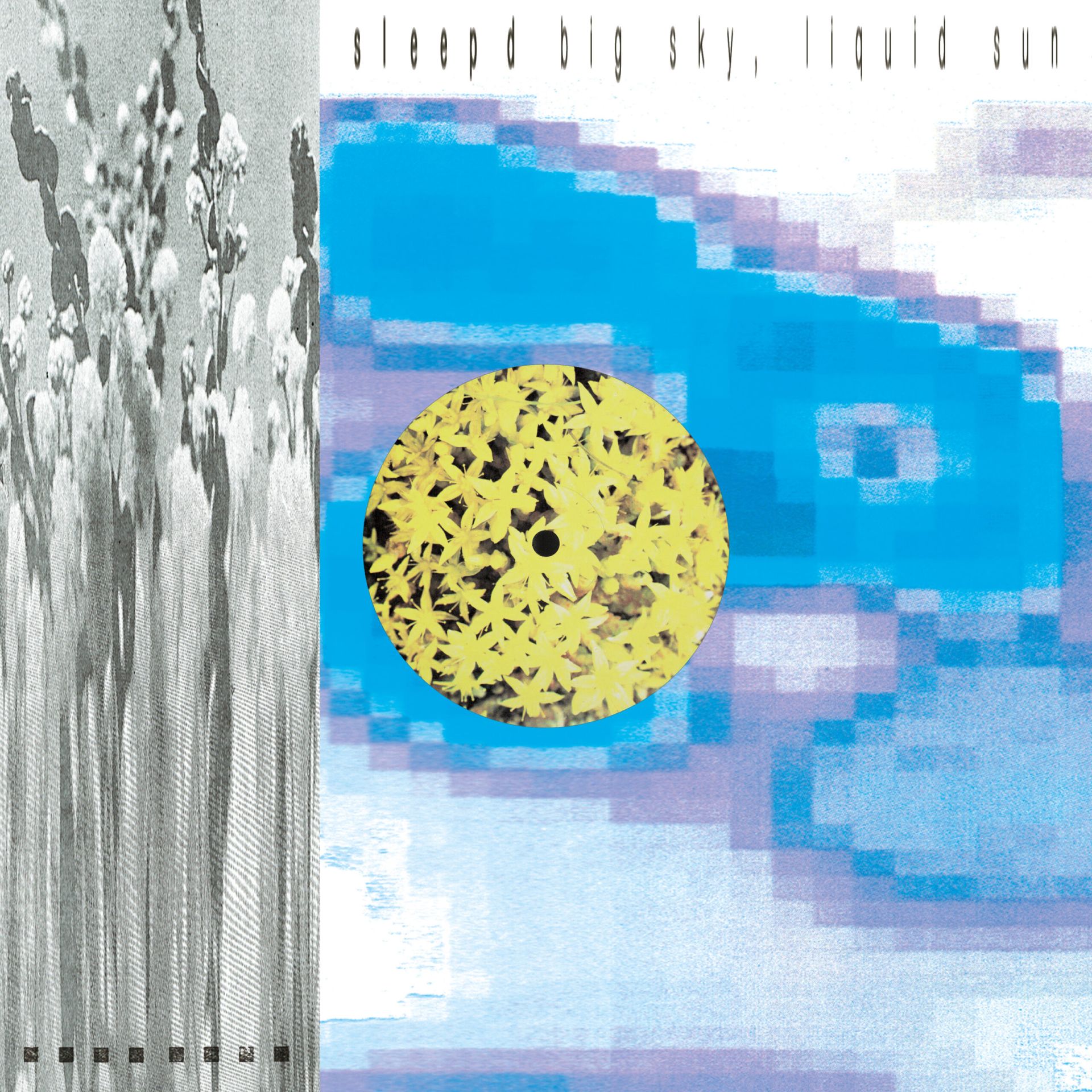 Home - Rocksteady Records