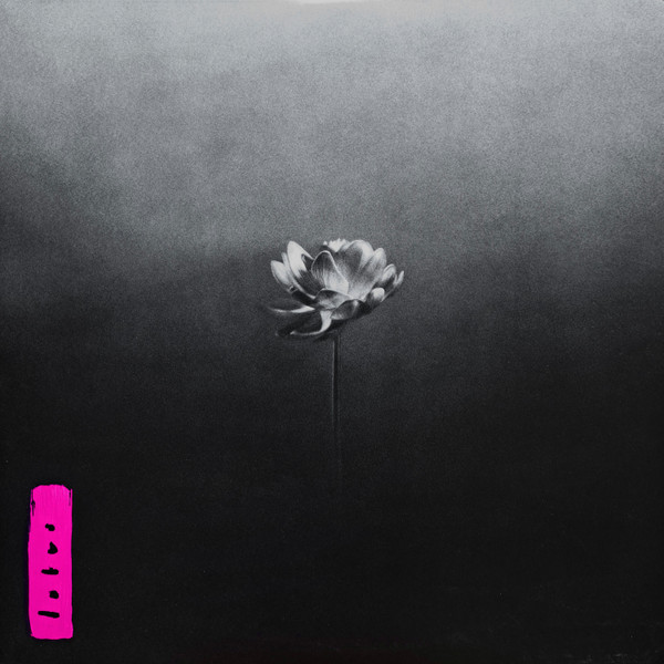 Little Simz - Lotus 2LP (Indie Electric Pink Vinyl) - Rocksteady Records